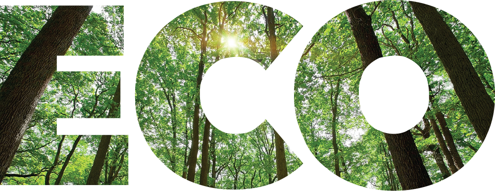 Accueil | Éco-Dépôt